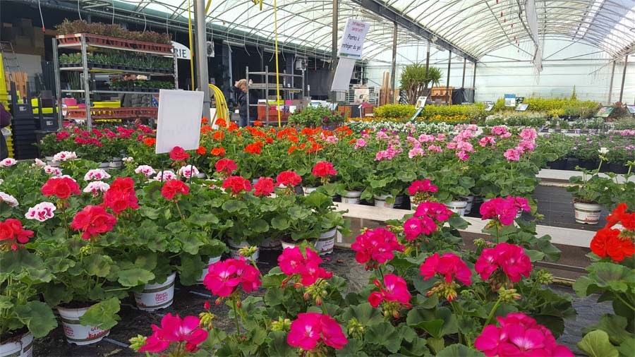 Point Vert Eichinger Hochstatt Serre-Point-Vert - Point Vert Eichinger ...